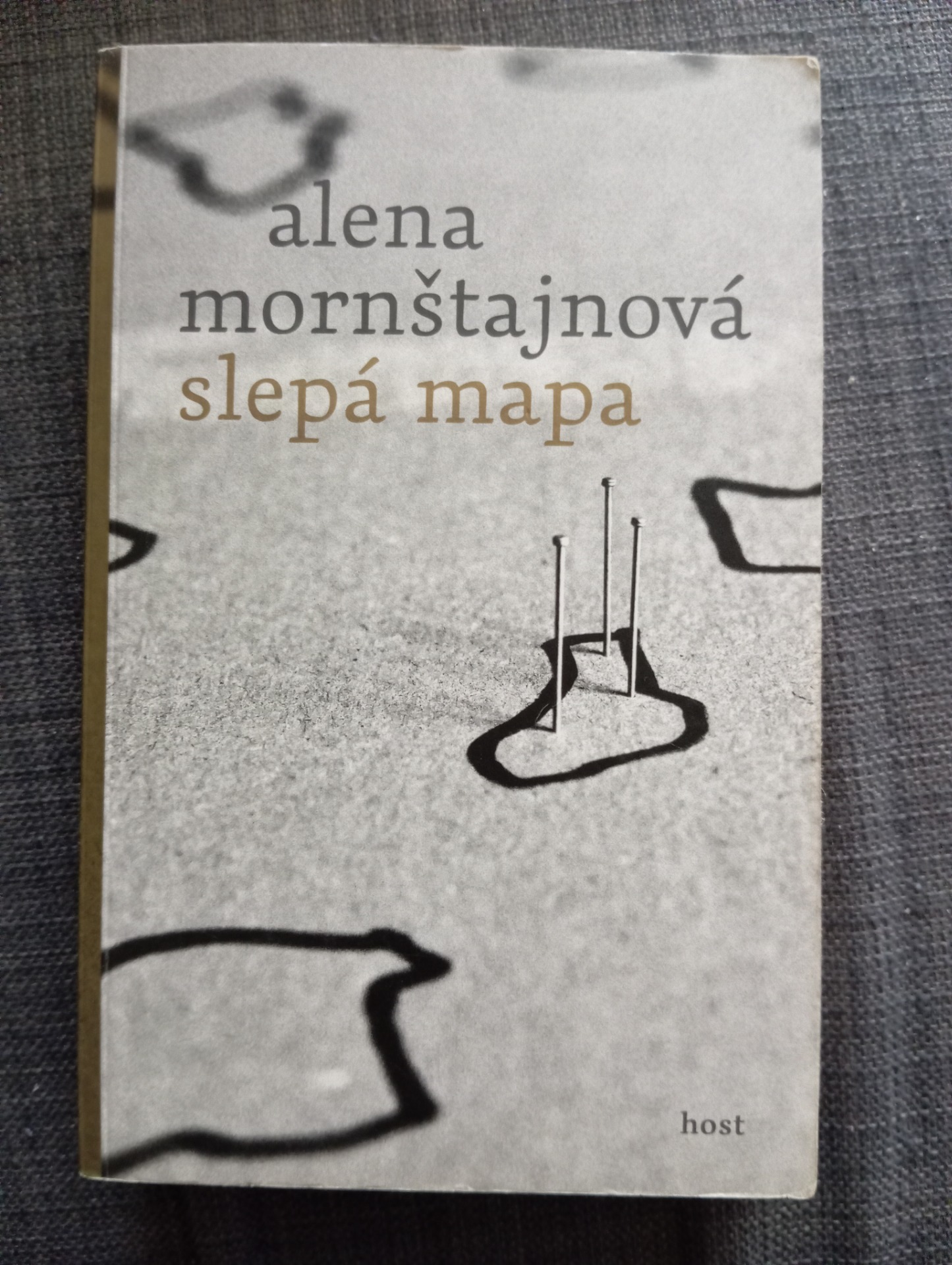 Slepá mapa, Alena Mornštajnová